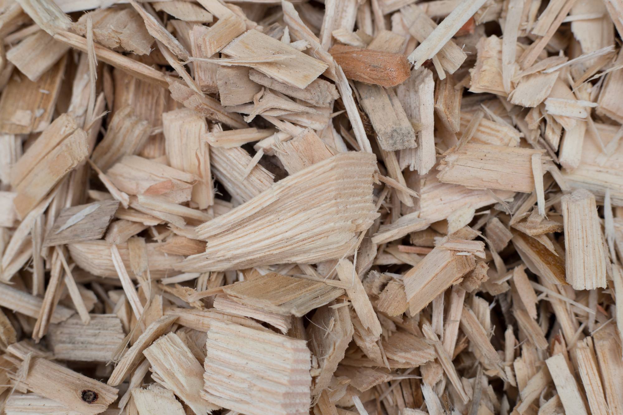Products - Forwood Group - BSL Compliant virgin P31s woodchip for ...